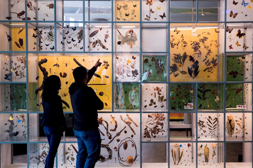 Para la Naturaleza | UNAM abre su Pabellón de Biodiversidad