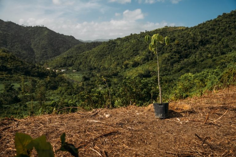 Para la Naturaleza | Para la Naturaleza enters a period of estivating ...